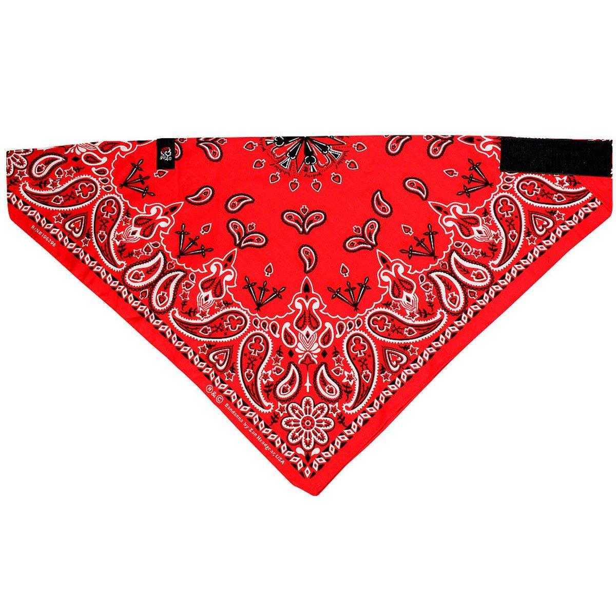 Motorcycle Bandanas | 2023 Biker Bandanas | American Legend Rider
